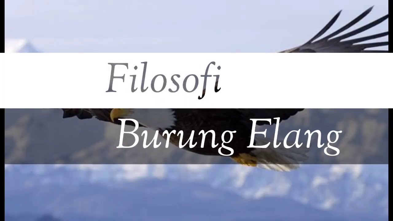 FILOSOFI BURUNG ELANG - YouTube