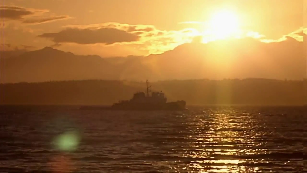 Somewhere Beyond The Sea; String Quartet; Dahlia Music - YouTube