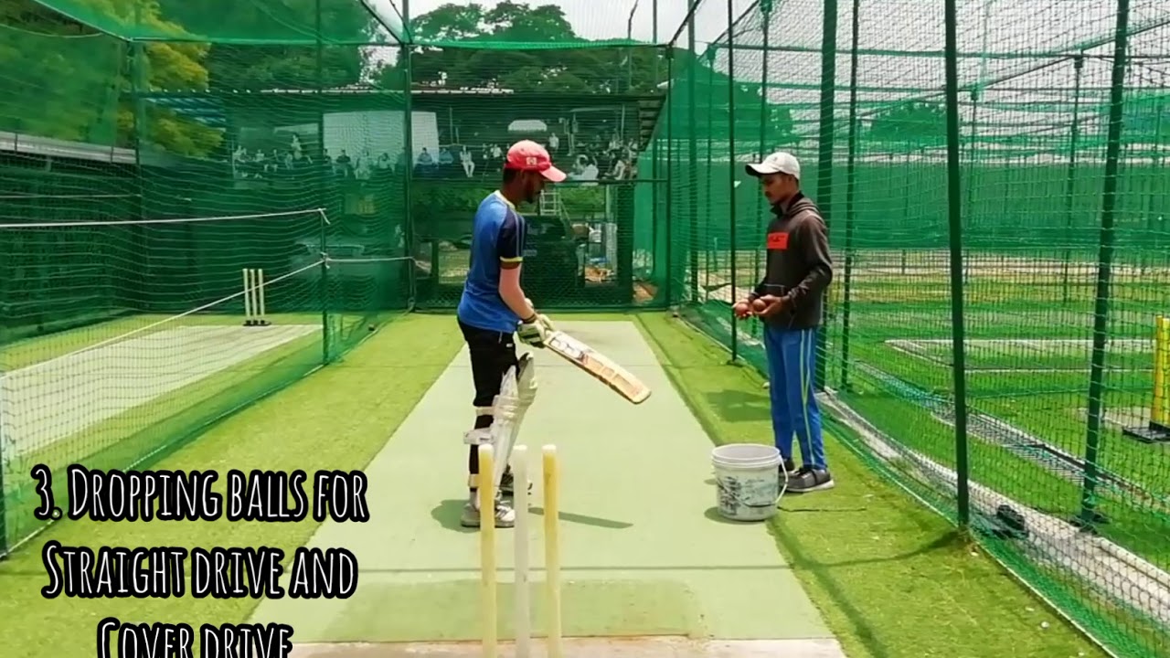 How to play a straight drive and a cover drive (with the basics). # ...