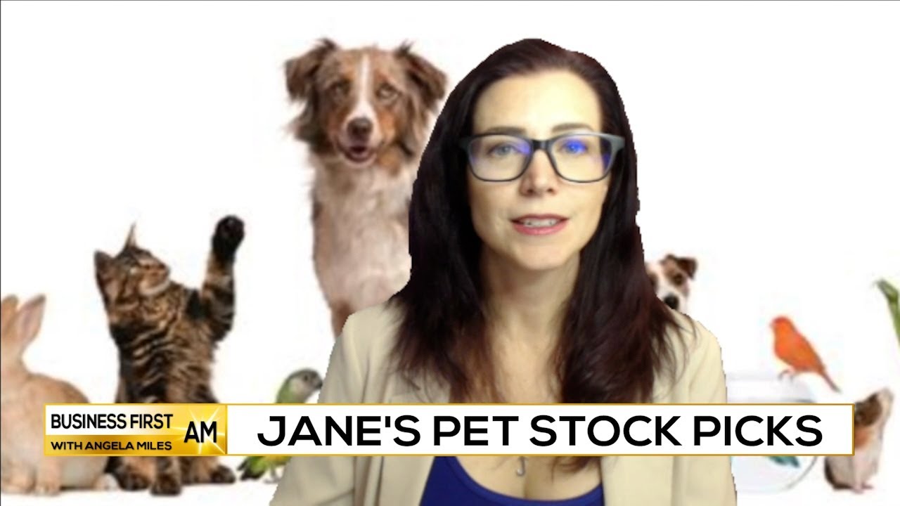 Jane's PET STOCK PICKS - YouTube