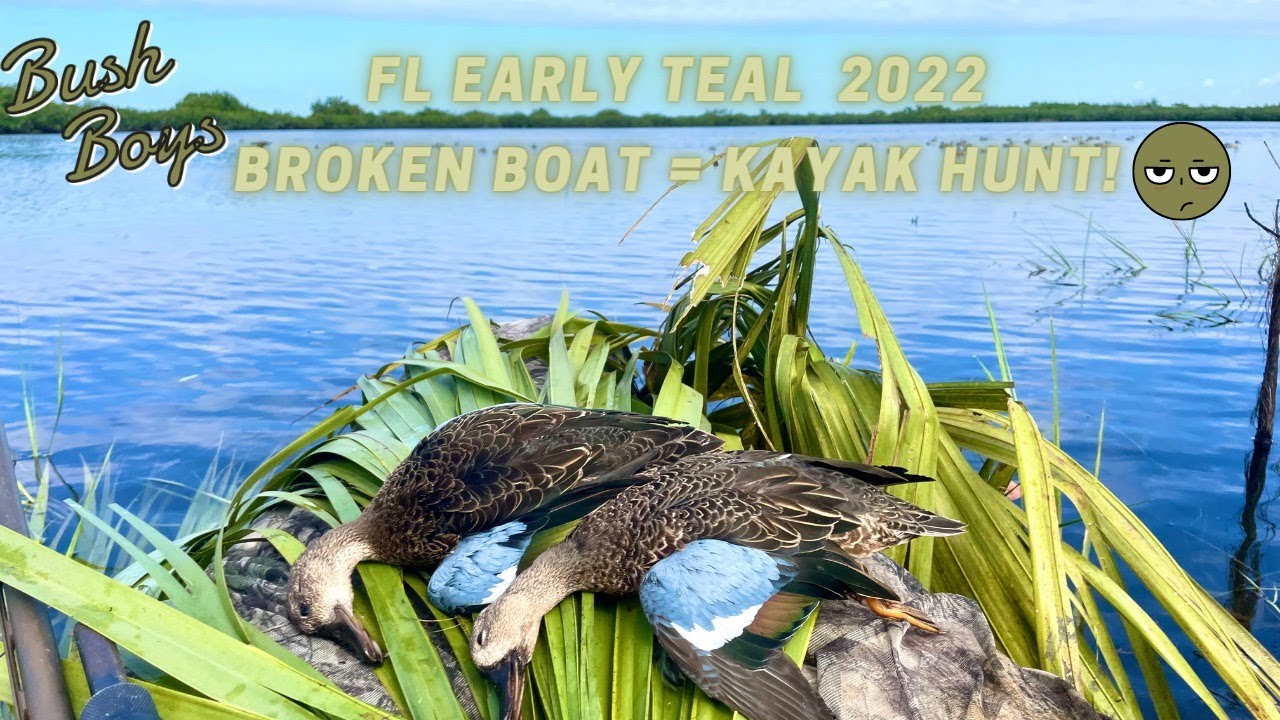 Florida Early Teal Kayak Hunt - YouTube