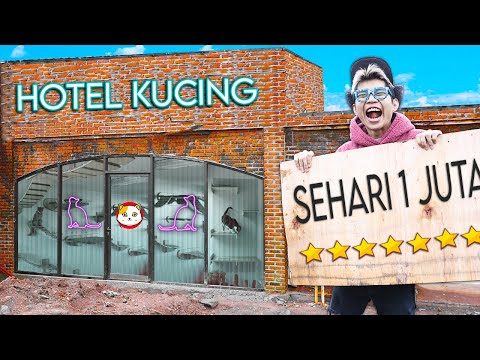 GILA! KITA BIKIN HOTEL KUCING SUPER BESAR TINGKAT 3 | MEWAH BINTANG 7 | RUMAH BARU ANAK KUCING!!!