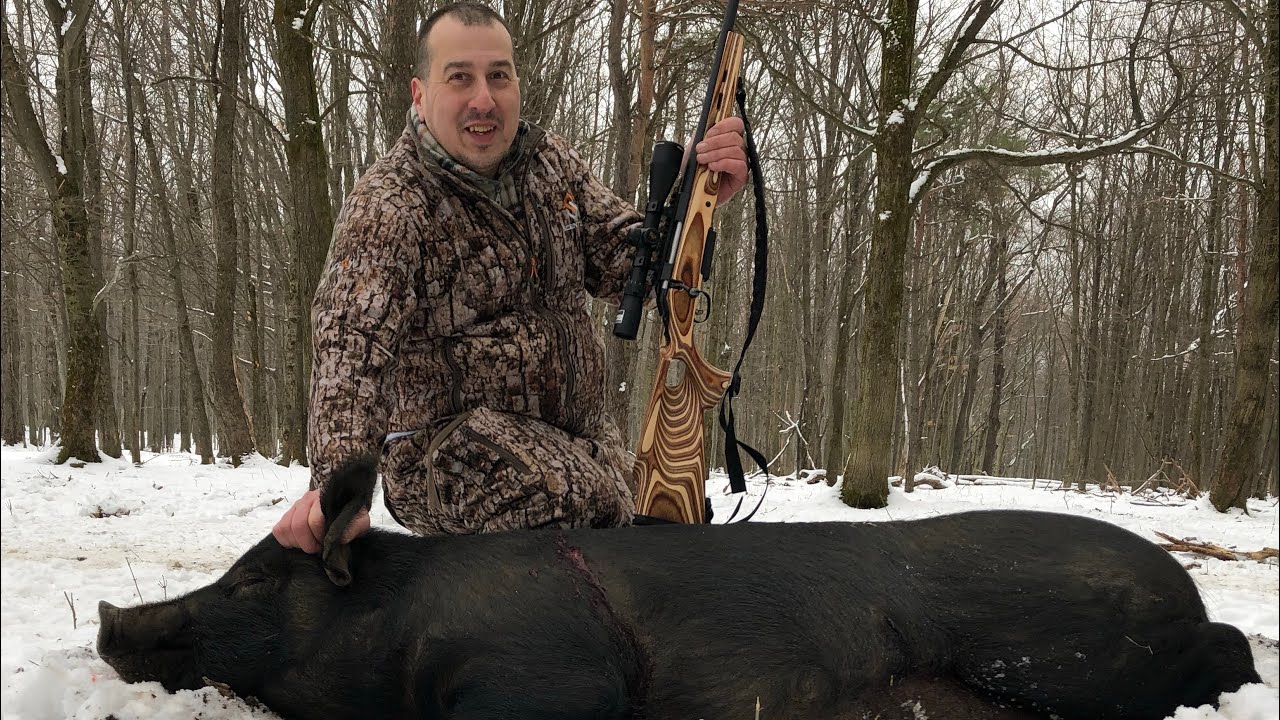 Free Range Hog Kill Shot With Custom RUGER 450 Bushmaster at Finger ...