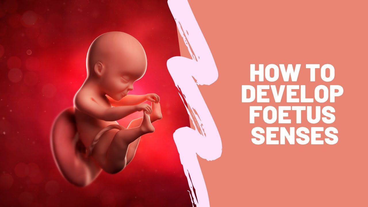 How To Develop Foetus Senses - YouTube