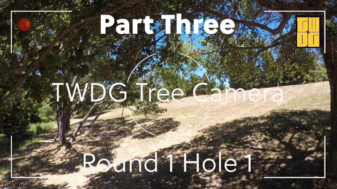 Tree Cam Round One Part Three - YouTube