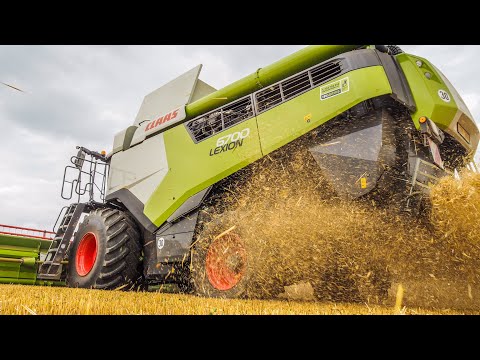New Claas Lexion 6700 in Action | Harvest 2021 - YouTube