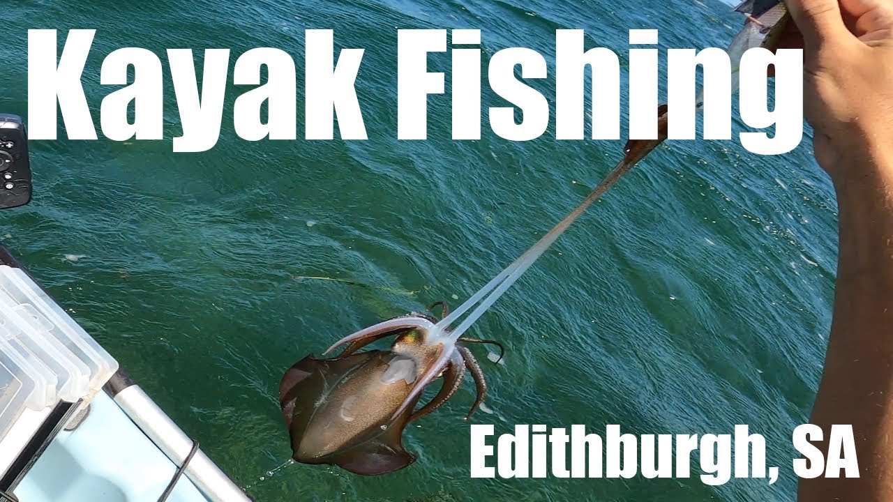 Kayak Fishing Edithburgh South Australia -EP 18- - YouTube