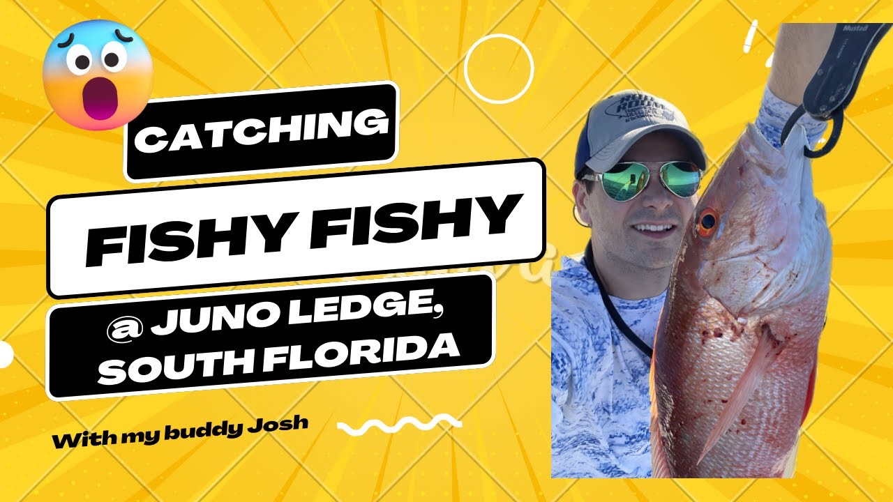 Big bites @Juno Ledge with my buddy Josh! Mutton Snapper, Porgy ...