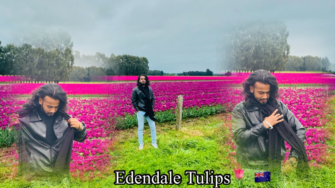 A journey towards Edendale tulips😍 from Invercargill🇳🇿 !!Diwali party🥳 ...