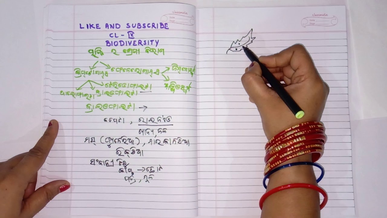 Class 9 Biodiversity Part 9 YouTube class-9-biodiversity-part-9-youtube