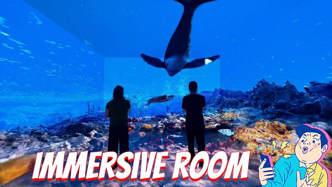 Immersive Room Revealed: A Complete Guide to 360-Degree Projection ...