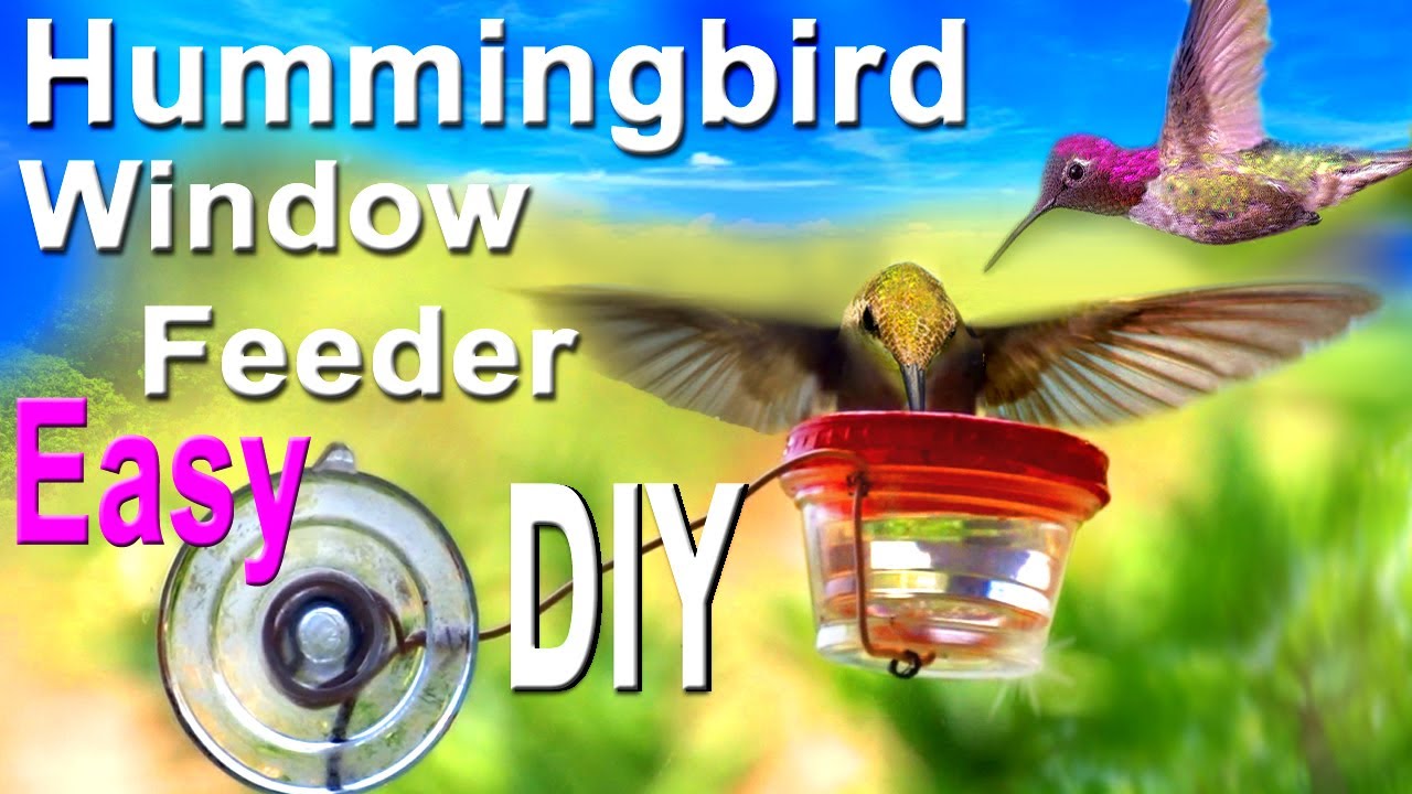 How to MAKE a Hummingbird Feeder DOT NO Bees EASY DIY Sugar Nectar ...