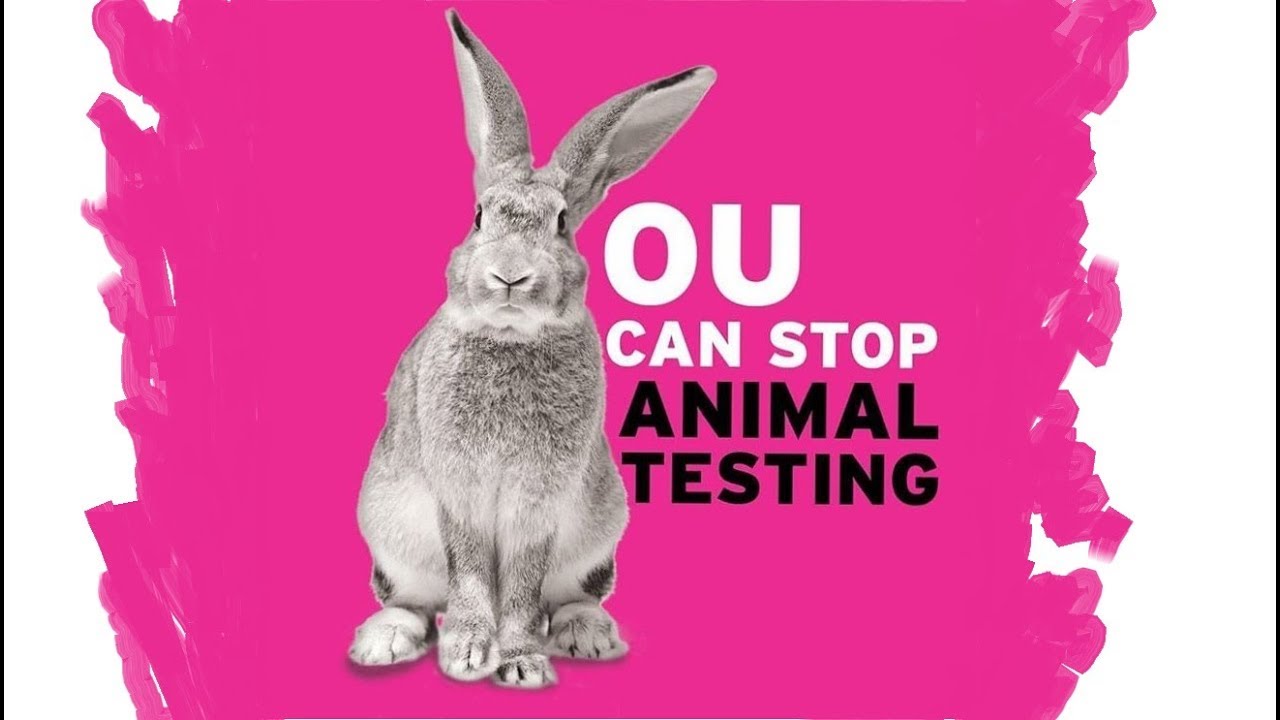 LO QUE DEBES DE SABER SOBRE EL TESTEO EN ANIMALES!!! - YouTube