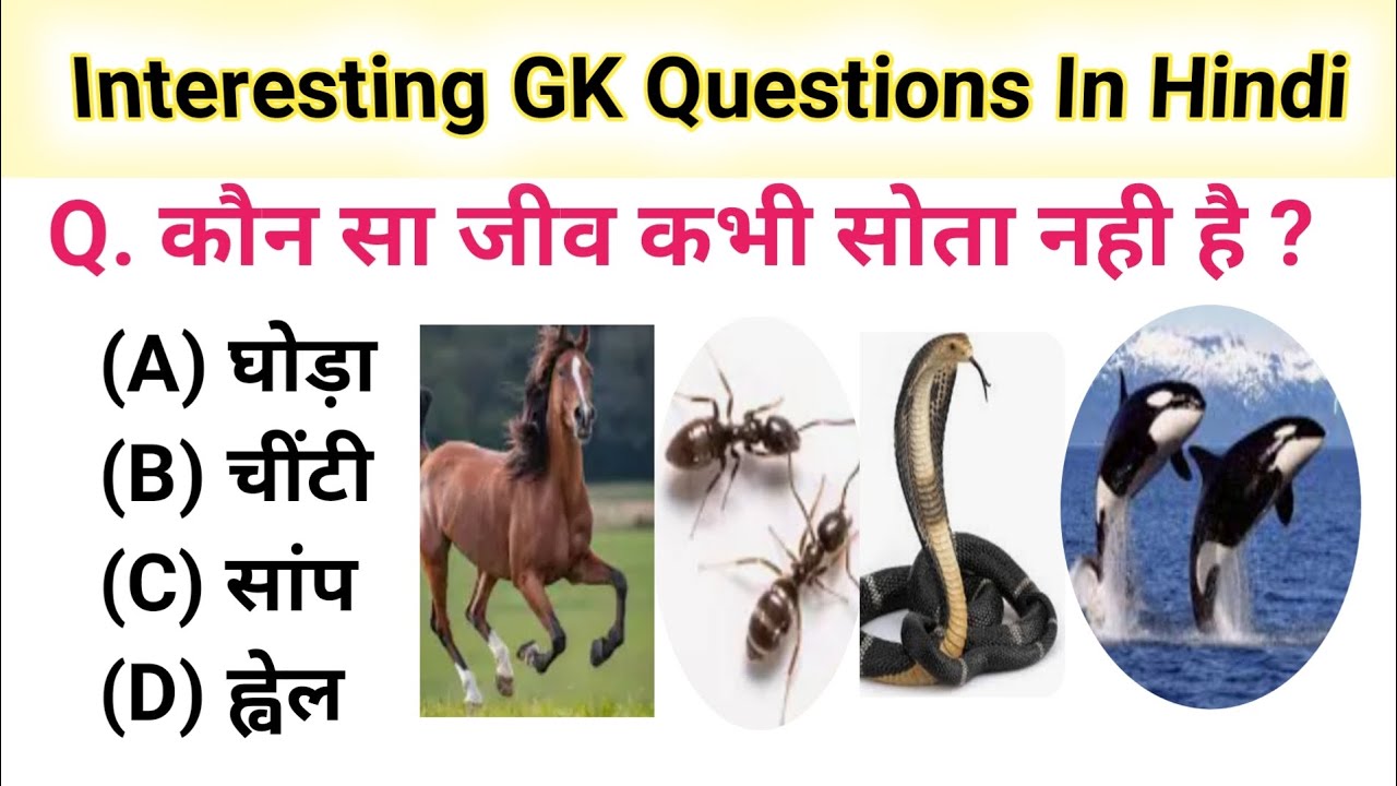 India GK Quiz | 25 Basic General Knowledge Questions & Answers #India ...
