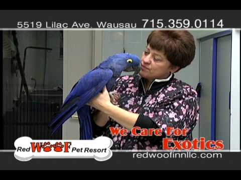 Red Woof Pet Resort in Wausau Wisconsin - YouTube