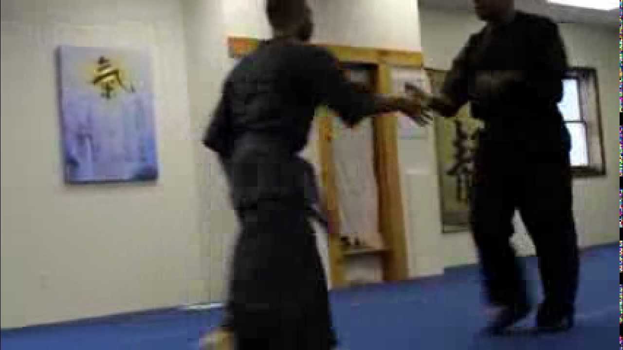 Sanuces Ryu Forms (Kata) - YouTube