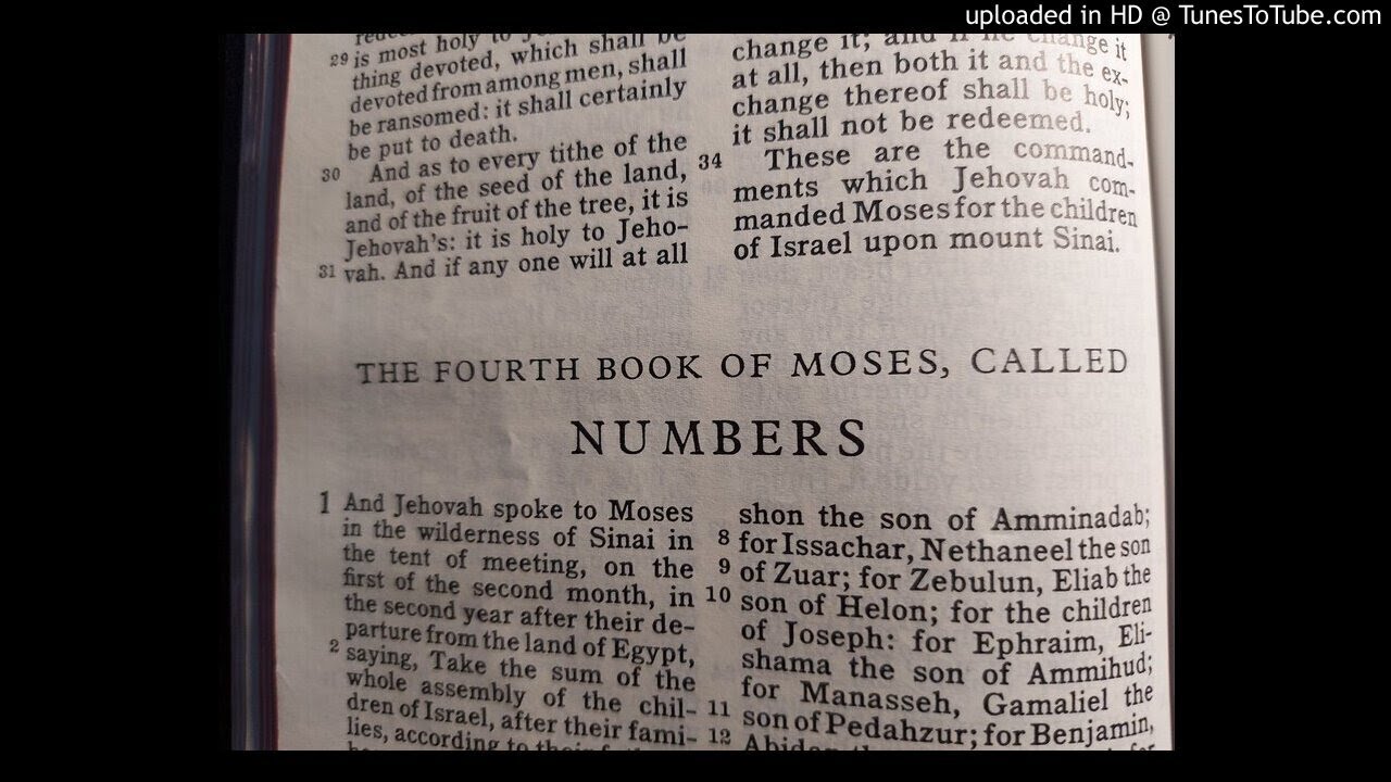Numbers 27 - YouTube