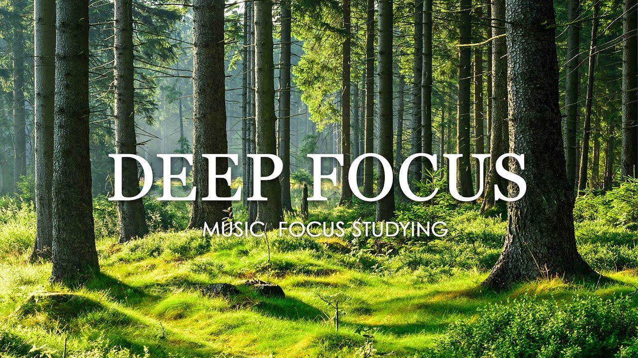 Deep Focus Music To Improve Concentration - 12 Hours of Ambient Study ...