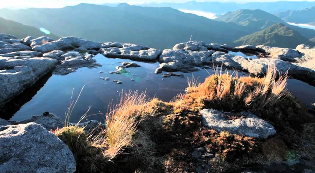 Save the Denniston Plateau - YouTube