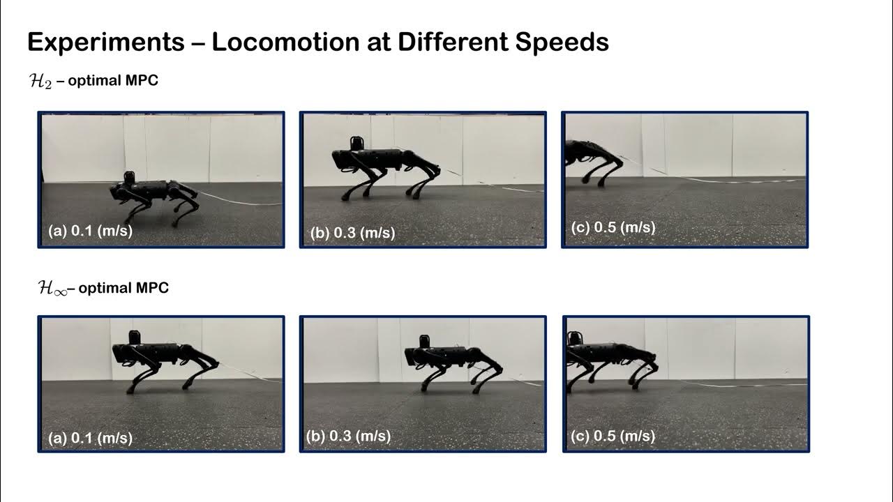 Robust Optimal Predictive Controllers for Periodic Legged Locomotion: An LMI Approach - YouTube