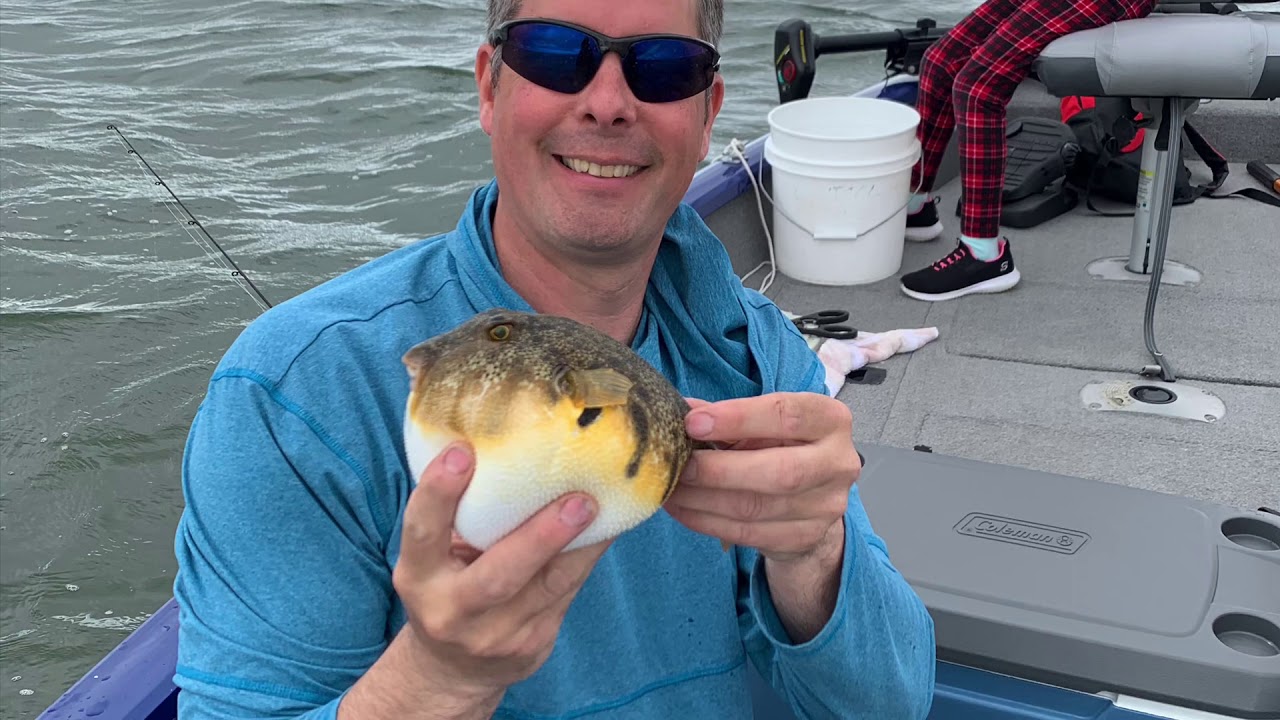 Bluefish-Blowfish-Boating Barnegat Bay 5-16-2020 - YouTube
