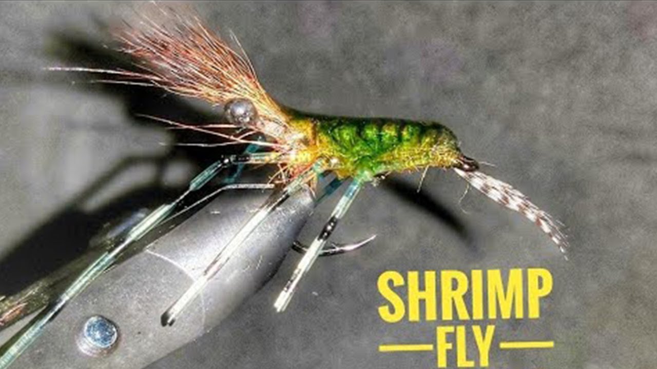 Shrimp a fly tying - YouTube