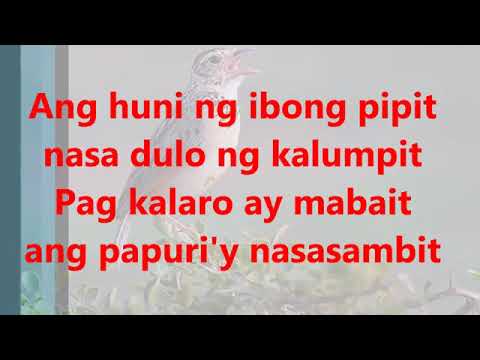 ANG HUNI NG IBONG PIPIT - YouTube