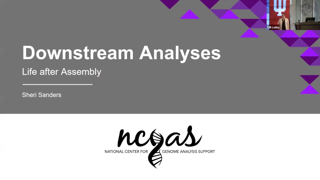 Downstream Analysis - YouTube