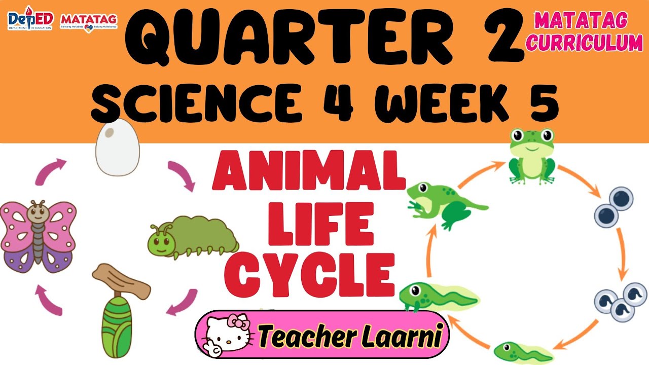SCIENCE 4 QUARTER 2 WEEK 5 - MATATAG CURRICULUM - YouTube