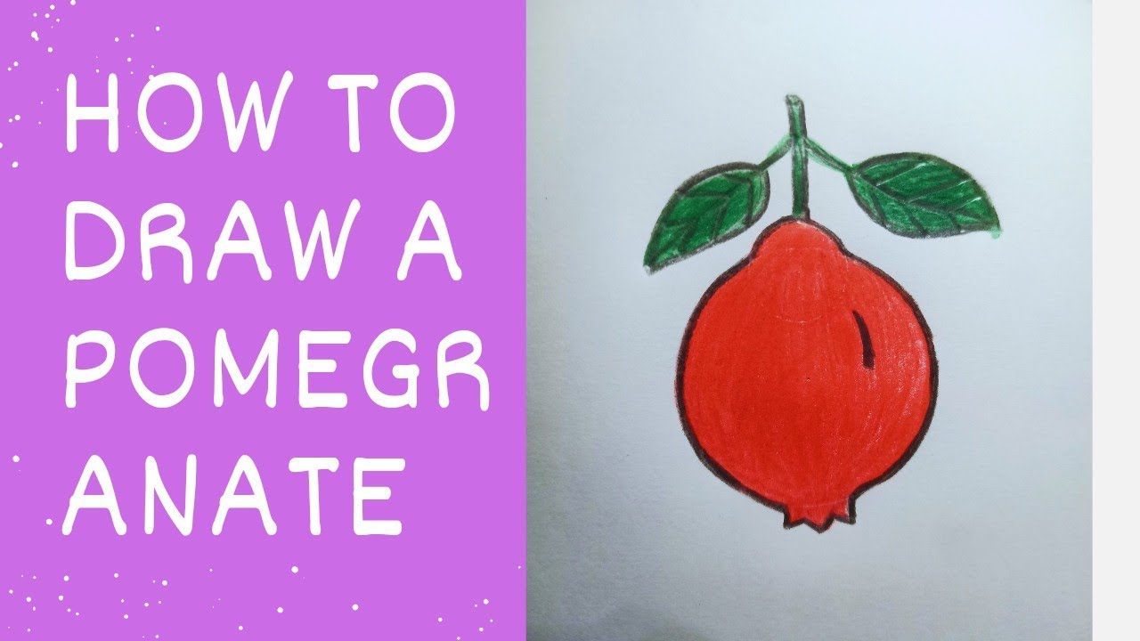 How to draw a pomegranate step by step||pomegranate. - YouTube
