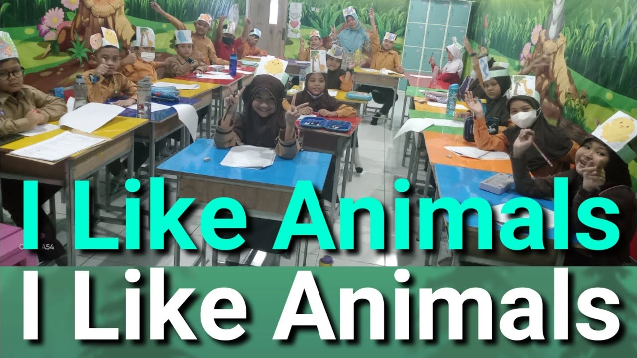 I LIKE ANIMALS - YouTube