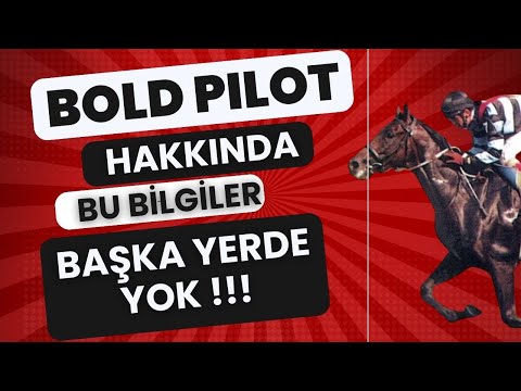 GAZİ KOŞUSU ŞAMPİYONU BOLD PİLOT I İLK DEFA DUYACAĞINIZ BİLGİLER I IHALİS KARATAŞ