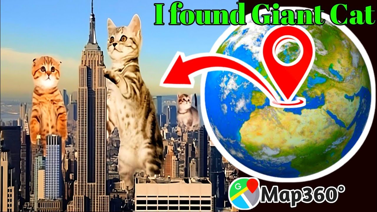 I found a very giant cat on google maps and google earth 🌎 #viral # ...
