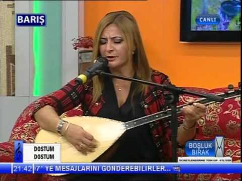 BARIŞ TV AŞIK ALİ SULTAN (DOSTUM DOSTUM) 06.11.2015 KONUK NERMİN AKDEMİR*1