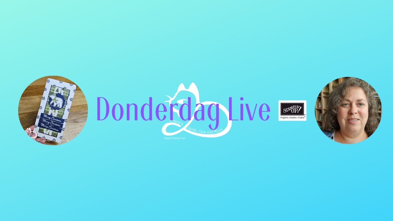 DDL 23 11 23 Beary Cute vs Bee Mine - YouTube