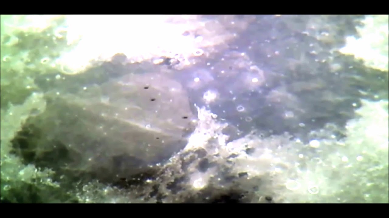 Moon UFOS. The work of Bill Bryson. - YouTube