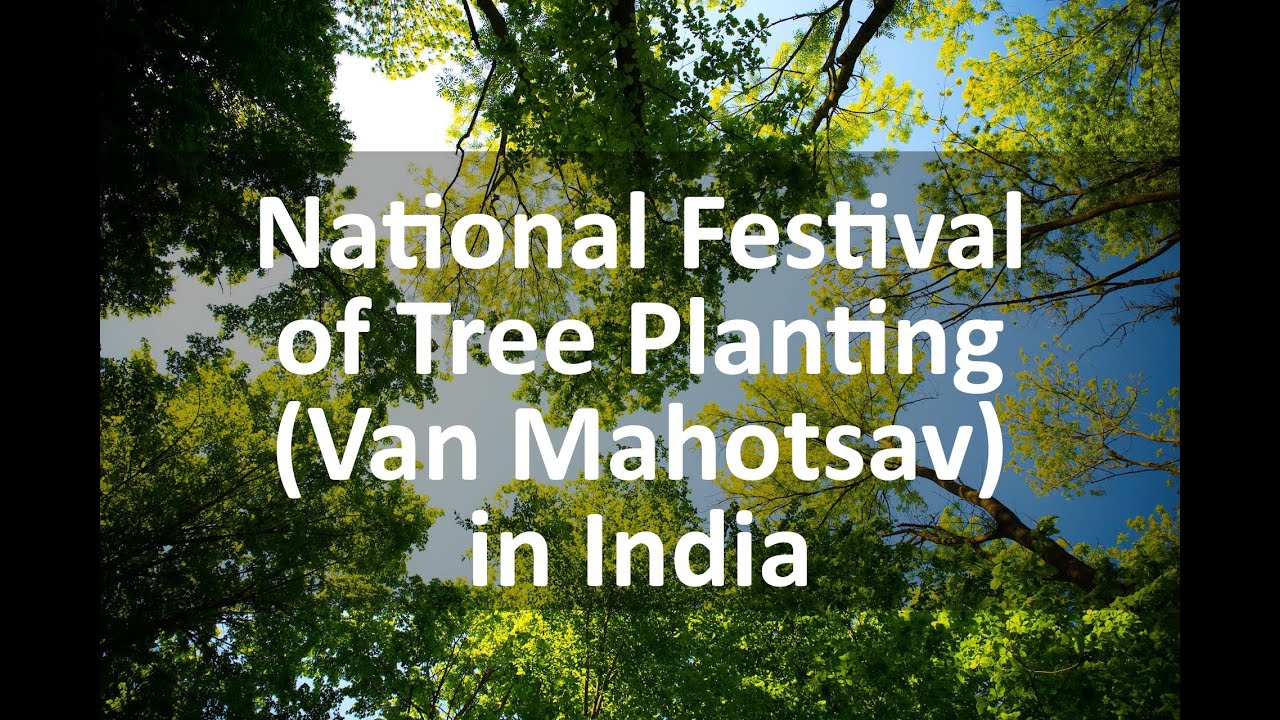 Van Mahotsav : National Festival of Tree Planting in India - YouTube