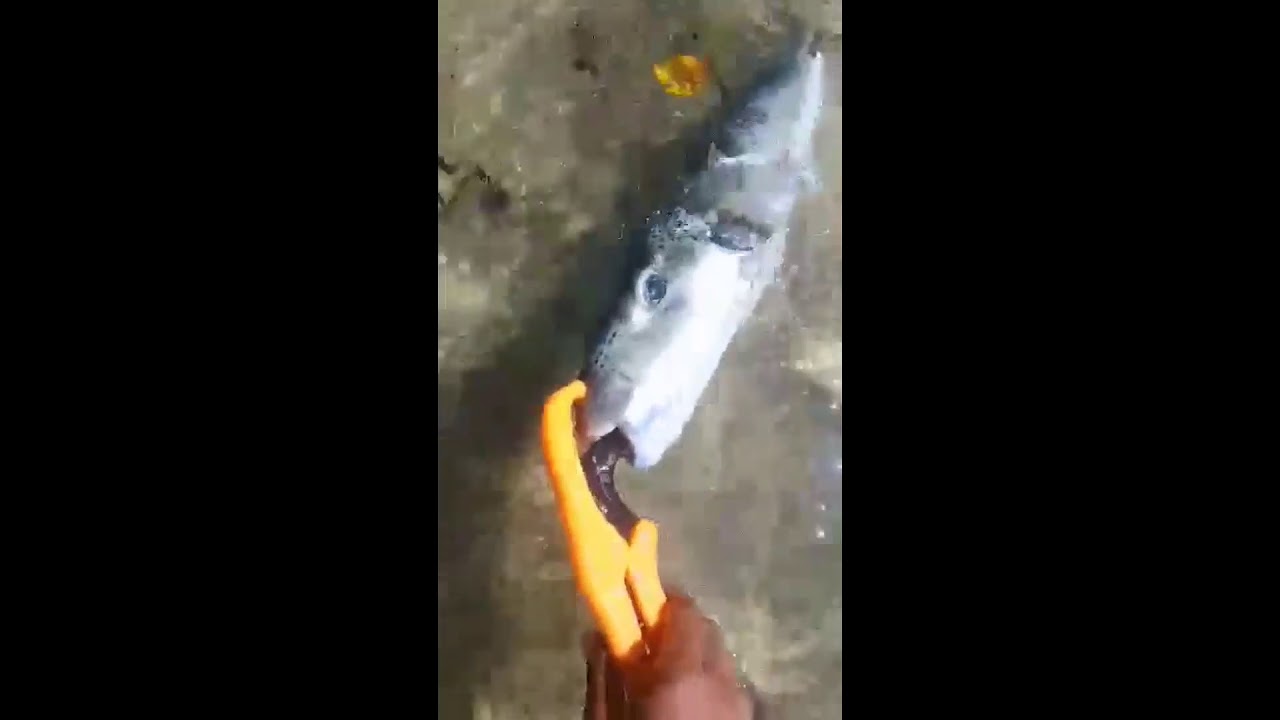 Isdang Butiti! - YouTube