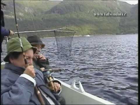 SNILLFJORD-FISHTOUR klip - YouTube