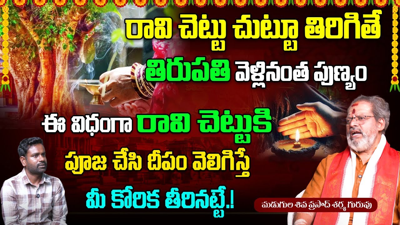 రావిచెట్టుకి ఇలా పూజ చేస్తే మీ కోరిక తీరినట్టే.! Ravi Chettu Pooja ...