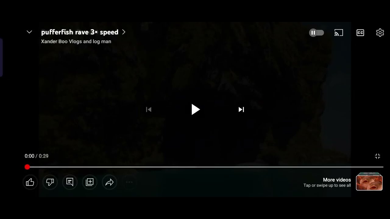 pufferfish rave 4× speed - YouTube