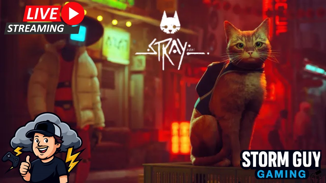 Stray Full Playthrough LIVE | Part 3 - YouTube
