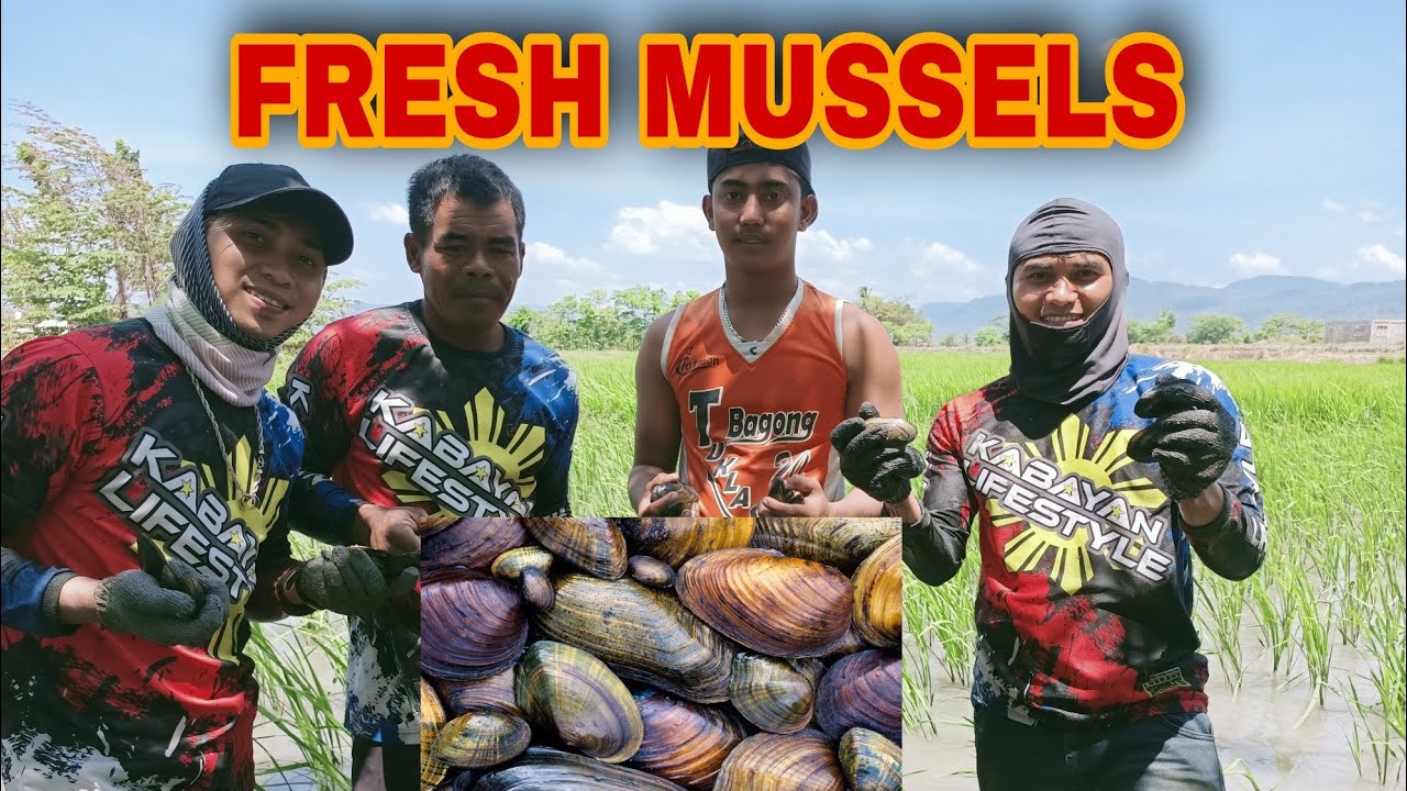 Masarap na Shell sa Palayan (Bildat) Forage & Cook | Occ. Mindoro ...