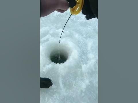 ФОРЕЛЬ СО ЛЬДА НА МАГОТ🎣 ДА ЕЩЁ И С ИКРОЙ - YouTube