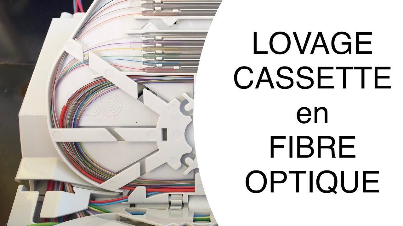 ♻️LOVAGE CASSETTE en FibreOptique - YouTube