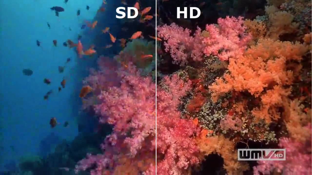 SD Vs HD In Video Resolution sharp Distinction YouTube