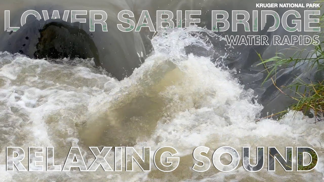 Kruger Park | Water Rapids Sounds For Relaxing, Focus or Sleep | Lower ...