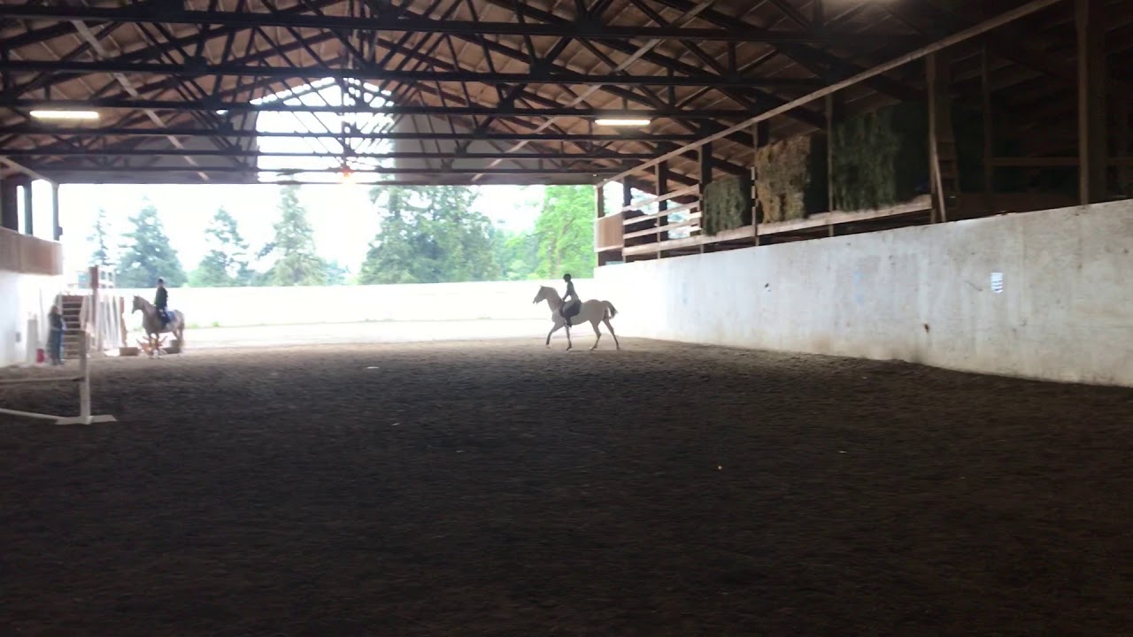 Class 33 Hunter over fences course B Cherry acres online horse show ...