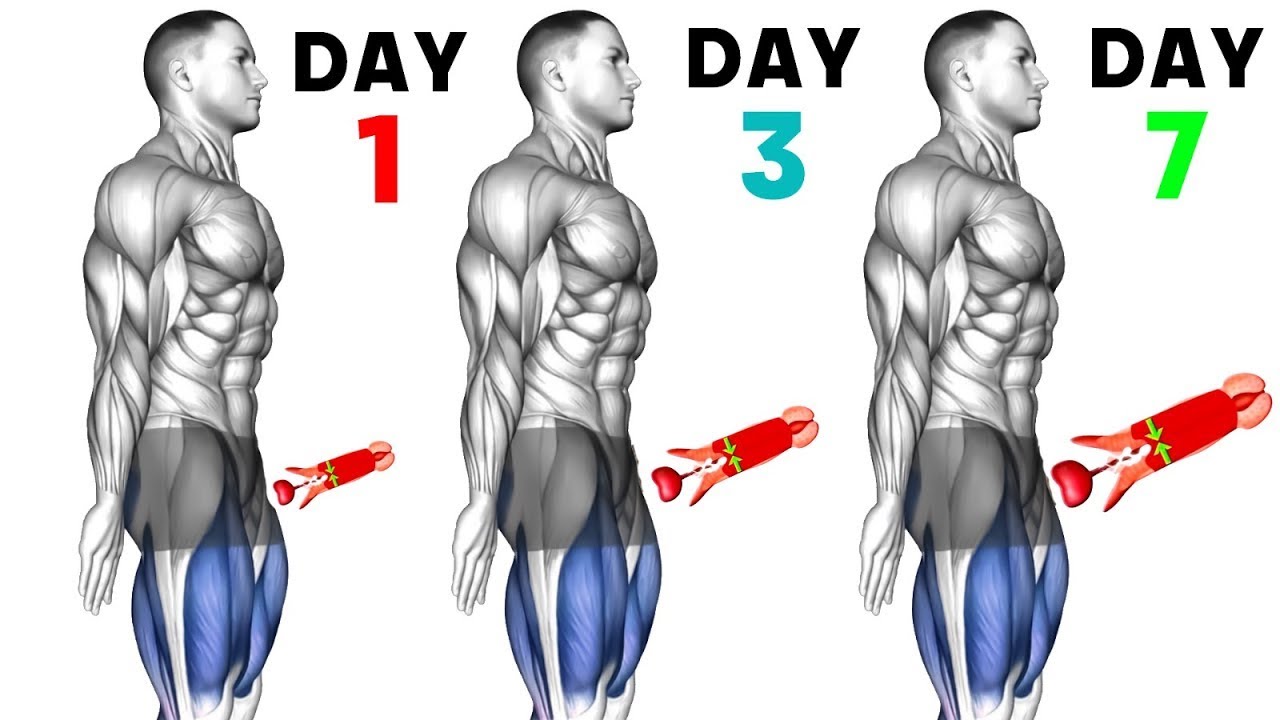Men's Kegel Workout: Unlock MAXIMUM Power, Stamina & Confidence With These ULTIMATE Exercises ...
