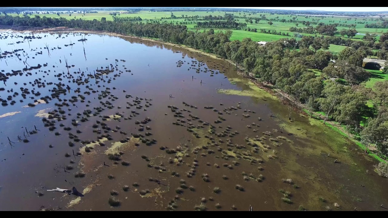 Floods 2016 - Reedy Swamp - YouTube